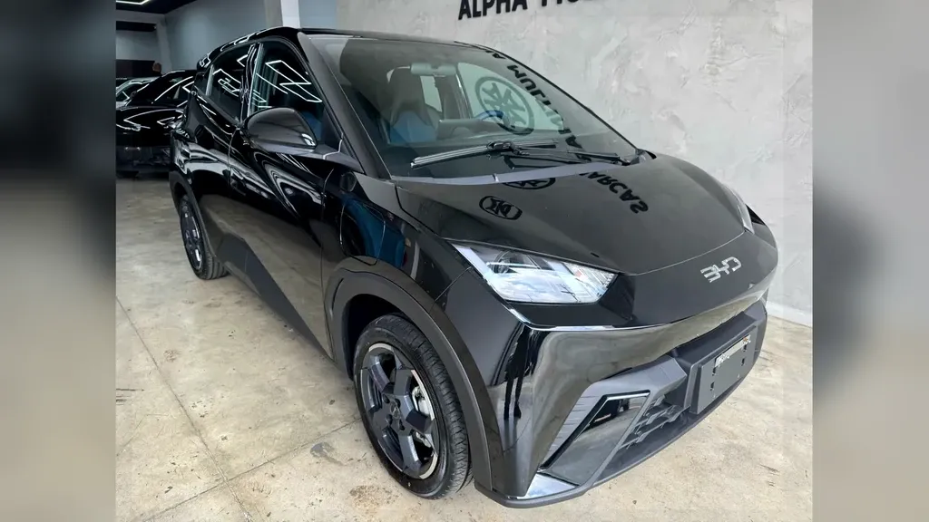 BYD Dolphin Mini 380km À Venda