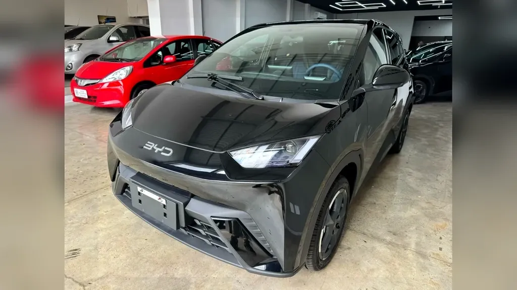BYD Dolphin Mini 380km À Venda