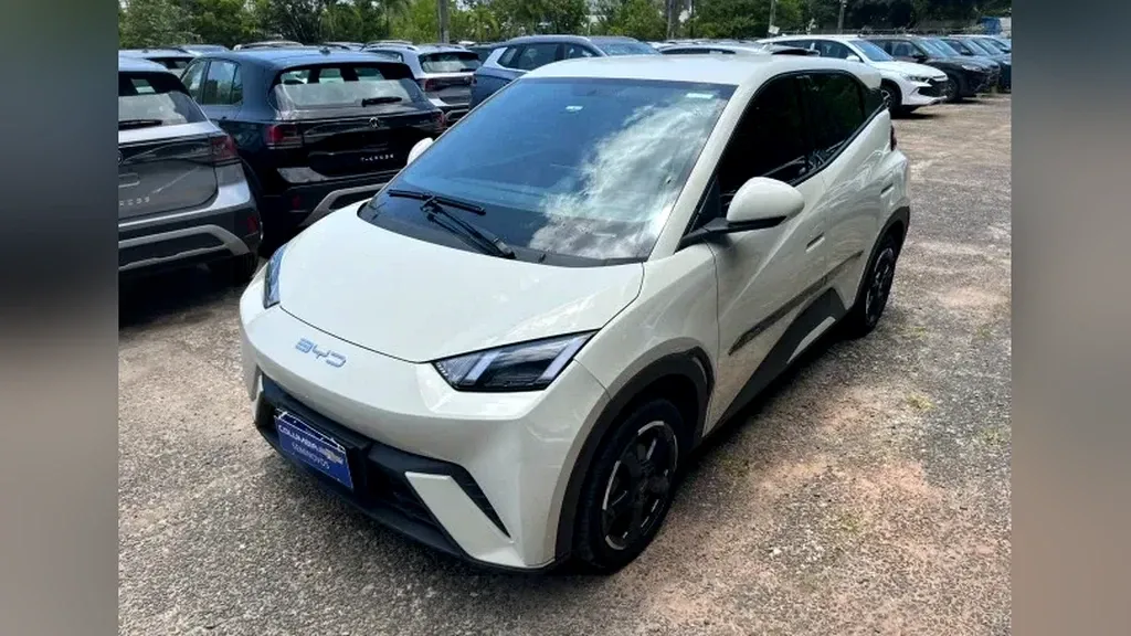 BYD Dolphin Mini À Venda